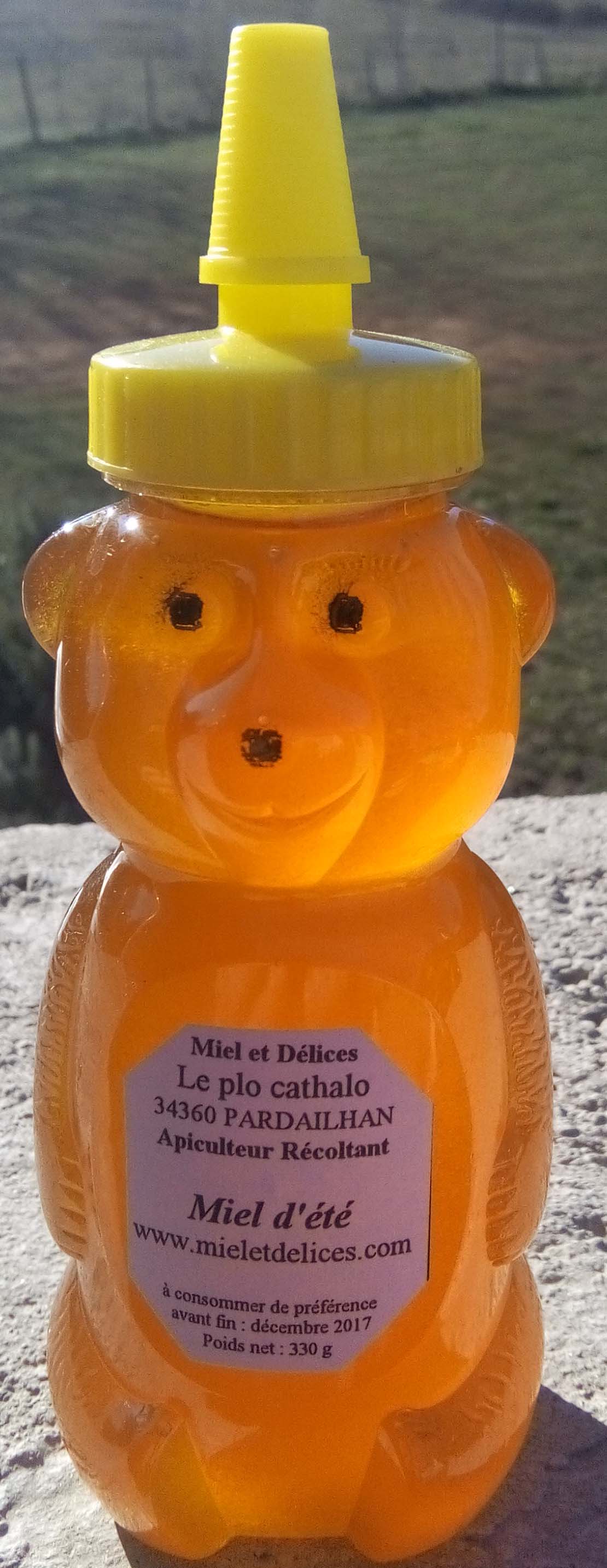 Distributeur Nounours de miel d'été 330 gr - Miel et Délices Apiculteur ...